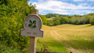 Box Hill Walks: All You Need to Know - Let's Walk UK