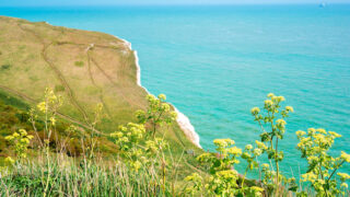 White Cliffs of Dover Walk: All You Need to Know - Let's Walk UK